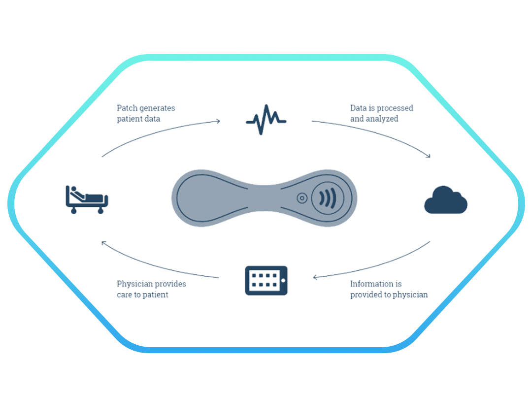 Vital Patch – Euron Labs